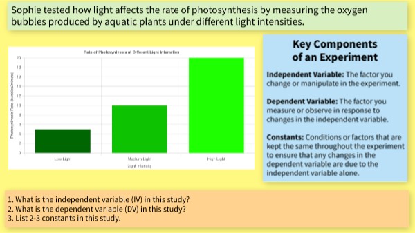Life Science Experimental Variables