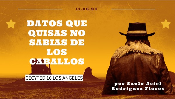 Presentación Western