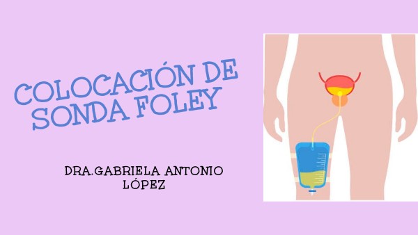 COLOCACION DE SONDA FOLEY | Genially