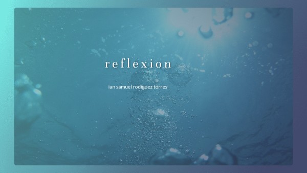 reflexion final ian srt