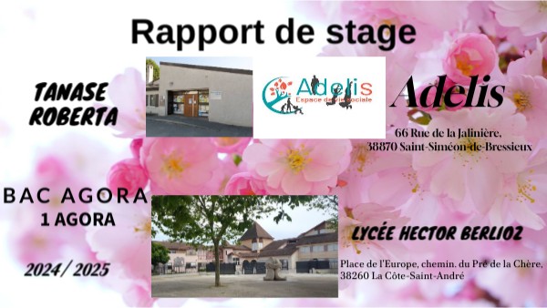 Rapport de stage 2 en seconde | Genially