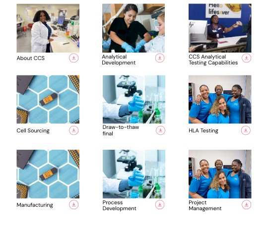 Copy - Copy - Copy - Career Page redo