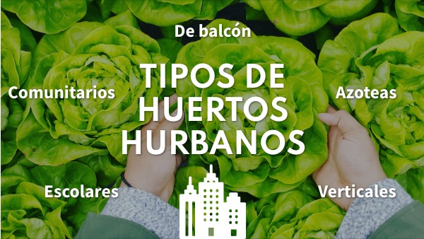 Huertos urbanos | Genially
