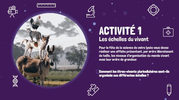 T1- Chapitre 1 - Activité 1 | Genially