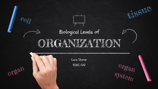 Biological Levels of Organization