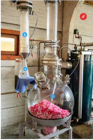 Hydrodistillation