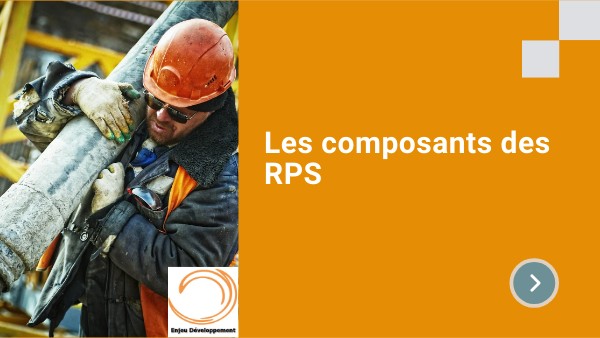 Les composants du RPS