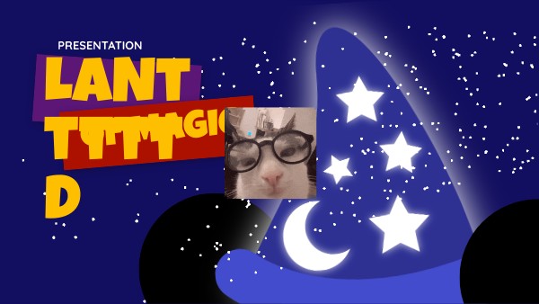 Apresentação Land of Magic
