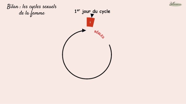 4e Bilan Cycles Sexuels De La Femme