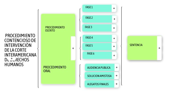 procedimiento ante la corte interamericana de derechos humanos | Genially