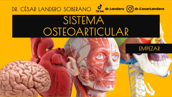 PRESENTACIÓN ESQUELETO Y ARTICULACIONES | Genially