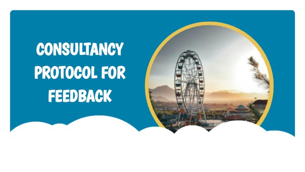 CONSULTANCY PROTOCOL FOR FEEDBACK
