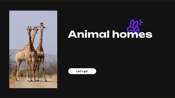 Animal Homes | Genially