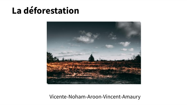 La déforestation | Genially