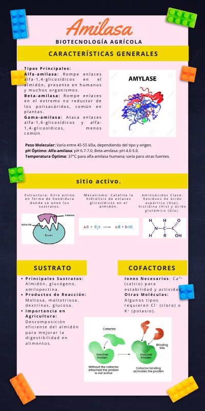 Copy - Infografia amilasa | Genially