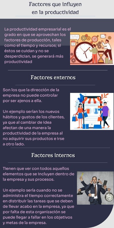 factores que influyen en la productividad int y ext