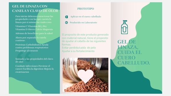 TRÍPTICO PROTOTIPO | Genially