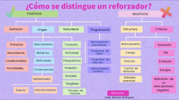 R3. ¿Cómo se distingue un reforzador? - By Leslie Ramírez Rodriguez ...