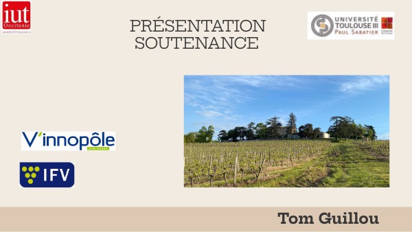 Présentation rapport de stage 2023-2024 | Genially