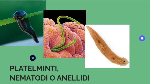 Quiz - Platelminti, Nematodi, Anellidi | Genially