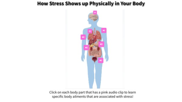How Stress Shows up In The Body