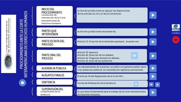 Procedimiento Ante La Corte Idh