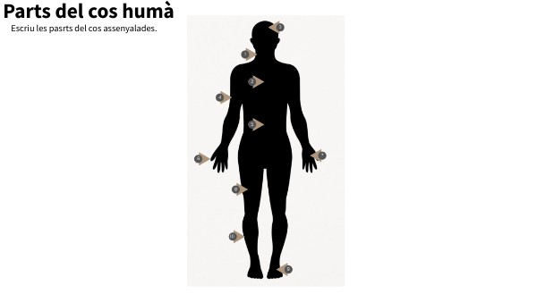 Escriu les parts del cos