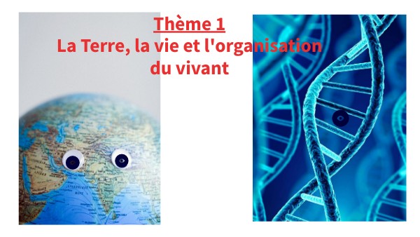 Ch1 - Structure du globe terrestre | Genially