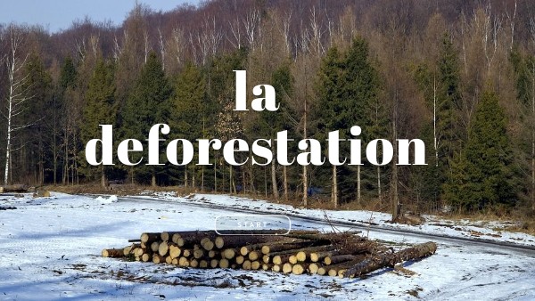 la déforestation | Genially