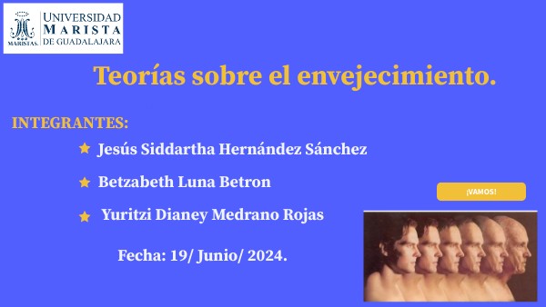 P. Teorías sobre el envejecimiento