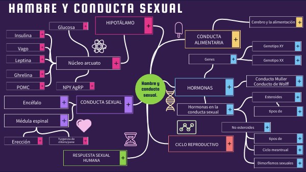 HAMBRE Y CONDUCTA SEXUAL | Genially