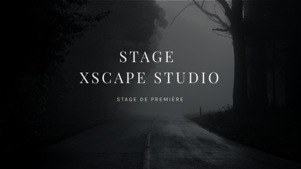 Copie - SHADOW PRESENTATION