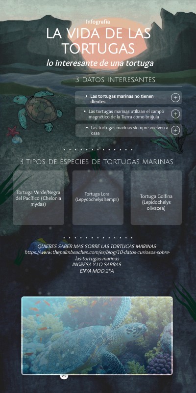 TORTUGAS MARINAS
