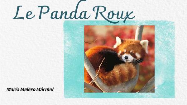 Le Panda Roux | Genially