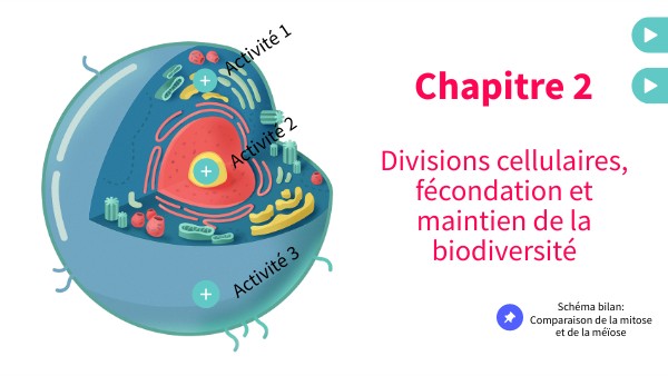 Chapitre 2 division cellulaire, fécondation et maintien de la biodiv