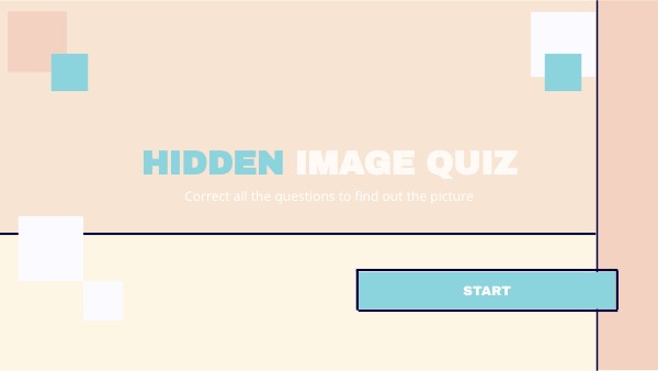 HIDDEN IMAGE QUIZ