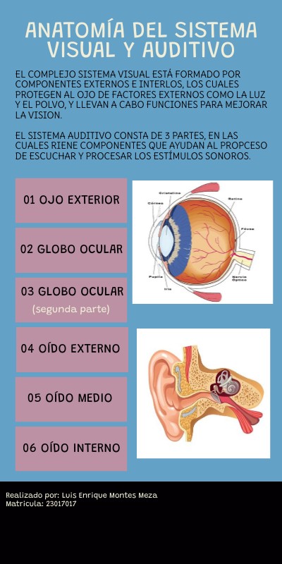 Sistema visual y auditivo