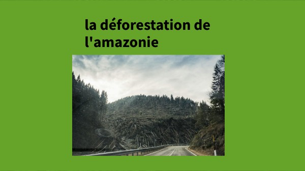 la déforestation | Genially