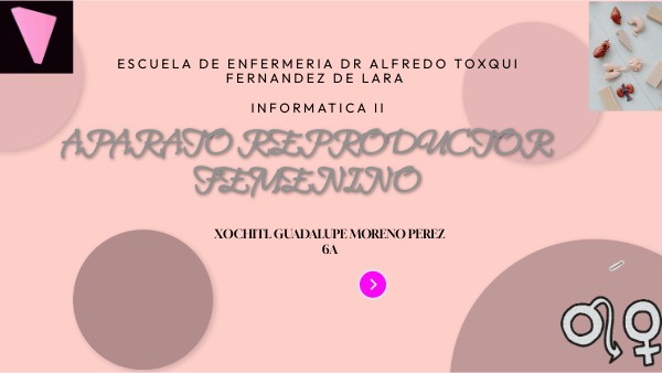 INFORMATICA II | Genially