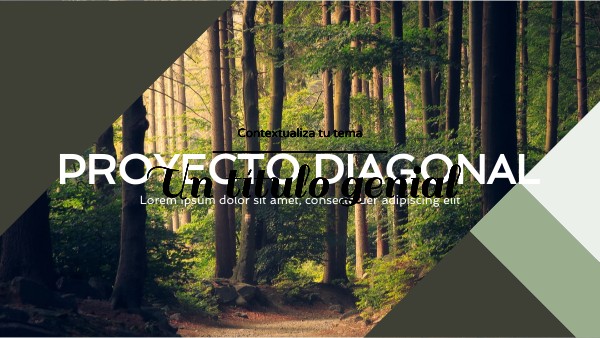 PRESENTACIÓN PROYECTO DIAGONAL