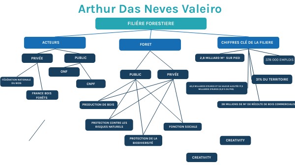 CONCEPT MAP BOXES archived | Genially