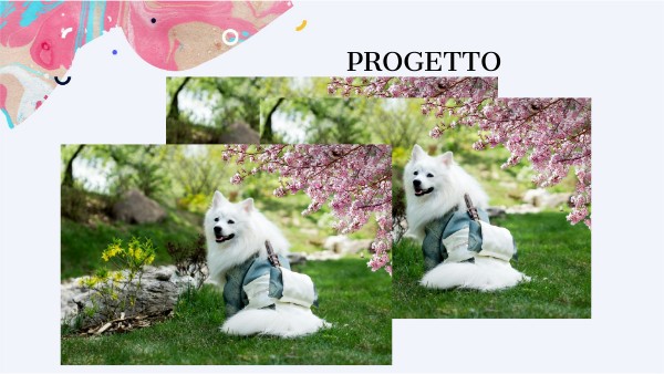 Progetto prova