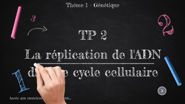 1 - TP3 - Réplication