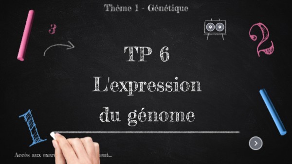 1 - TP6 - Expression | Genially