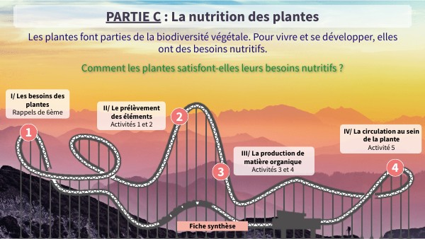 C_NutritionVégétale | Genially
