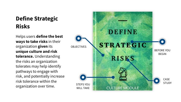 Copia - Define Strategic Risks