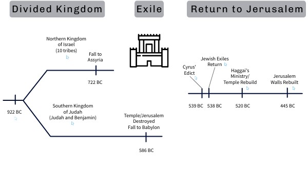 Branching diagram | Genially
