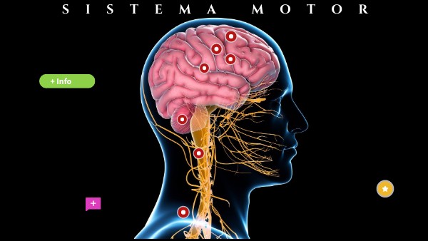 Imagen Interactiva Sistema Motor | Genially