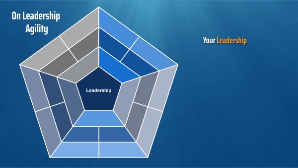 Intro Leadership Agility - text