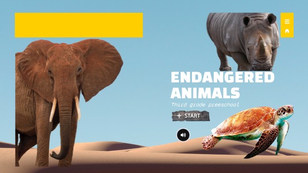 ANIMALS PRESENTATION